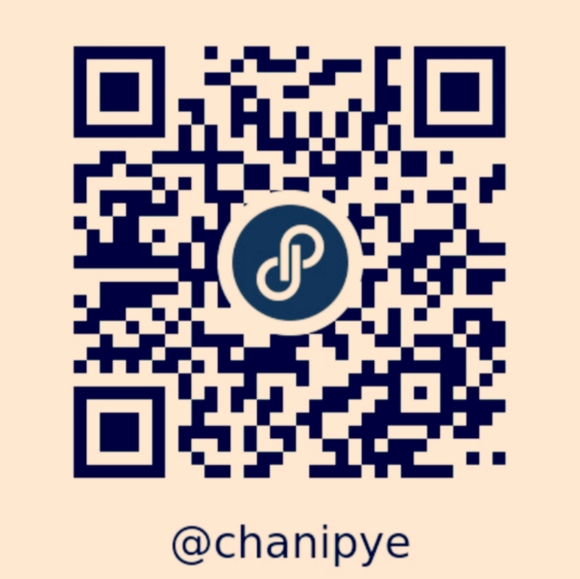 Christian Louboutin | Bags | Qr Code Scan To Engage With Chanis Closet ...